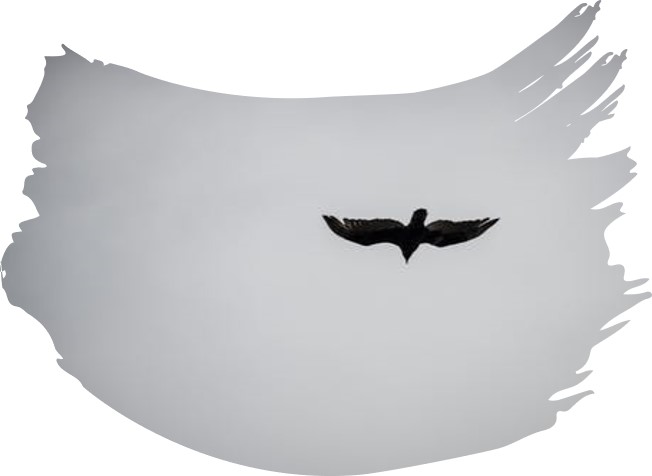 Charlevoix Cultural Corridor | Charlevoix Public Library