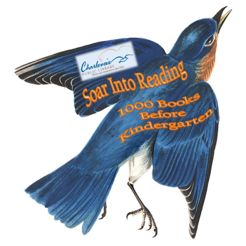 Soar Into Reading 1000 Books Before Kindergarten